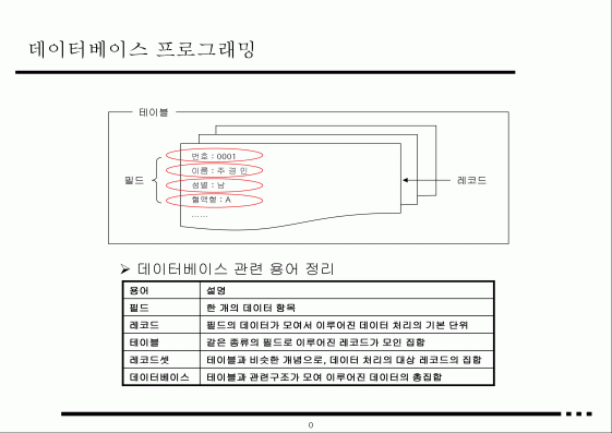 비주얼 베이직 데이타베이스 프로그래밍