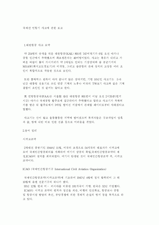 국제선 민항기 사고에 관한 보고