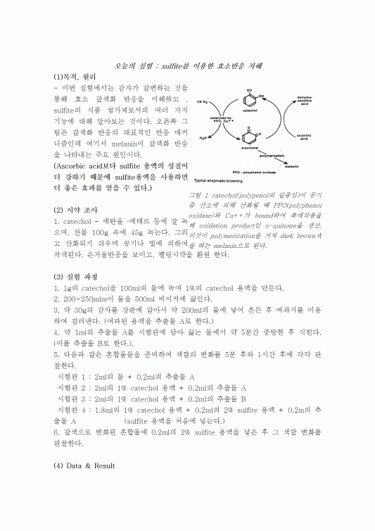 sulfite를 이용한 효소반응 저해