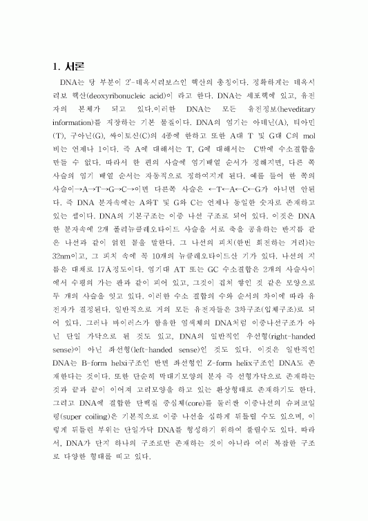 Z-DNA 구조와 기능