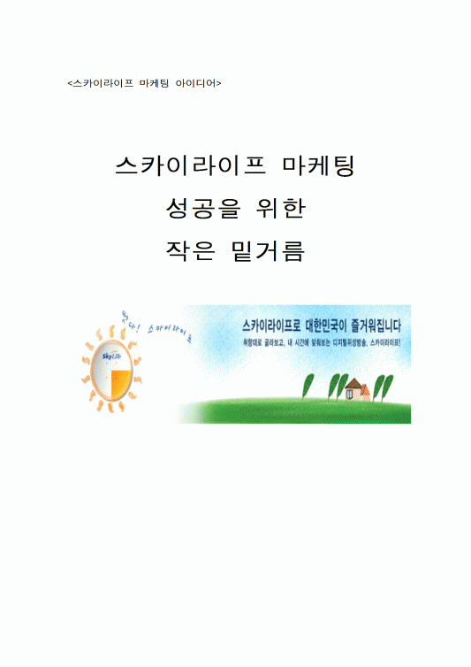 스카이라이프 마케팅
