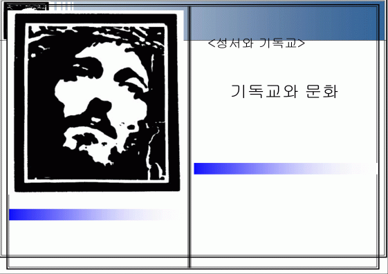 기독교의 문화적 기능