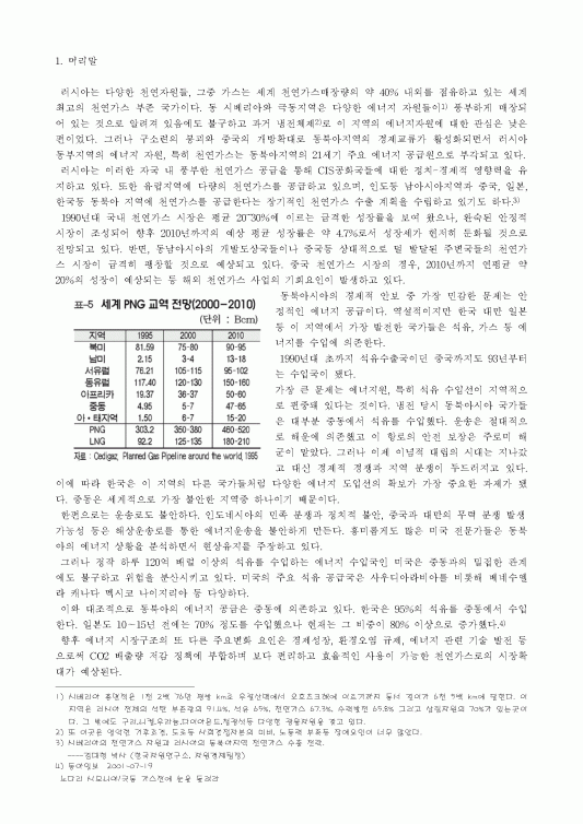 시베리아 레포트 자료