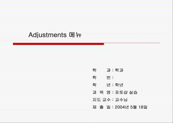 Adjustments 메뉴