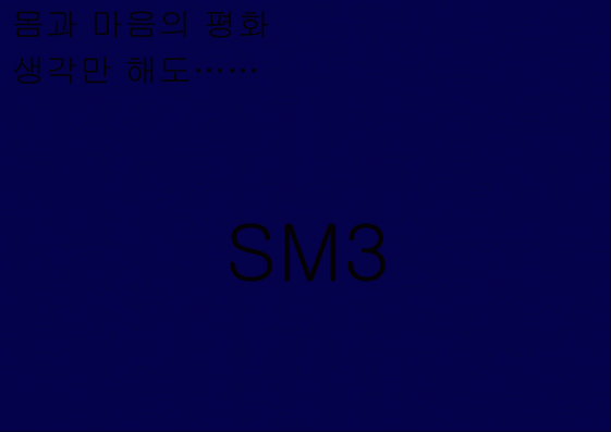 SM3의 효과적 브랜드전략기획서