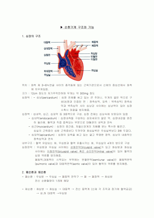 순환기계의 구조와 기능