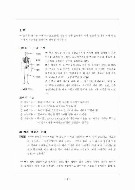 뼈, 근육, 신경에 대하여