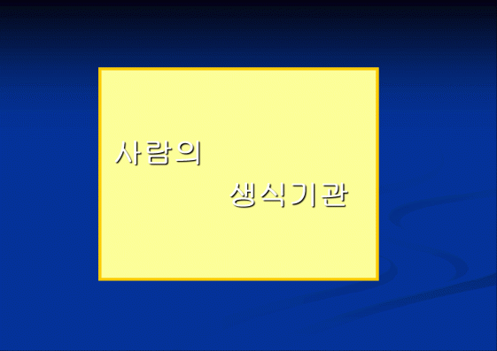사람의 생식기관