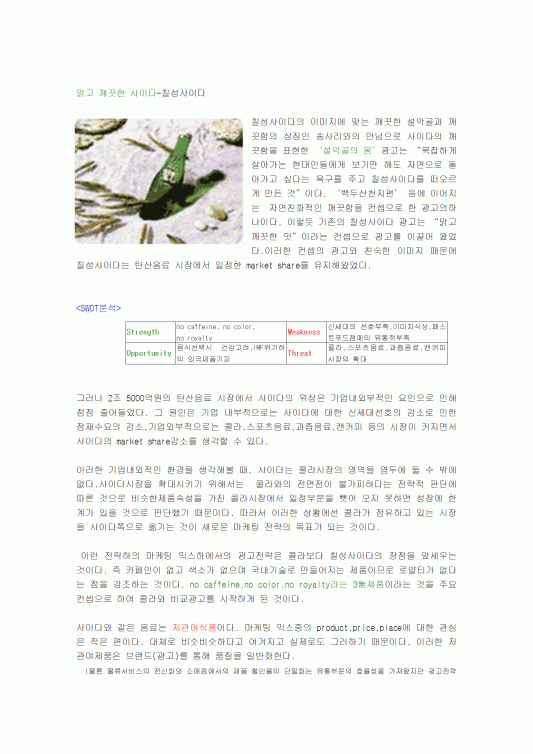 칠성사이다의 SWOT분석 및 광고전략분석