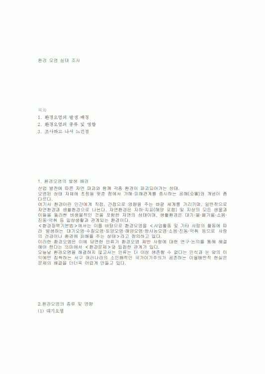 환경 오염 실태 조사