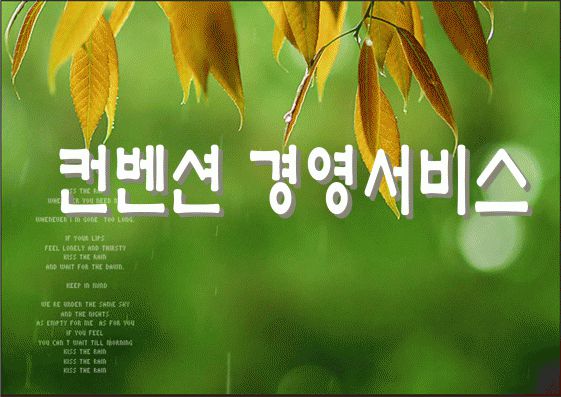 컨벤션 경영서비스의 발전방향