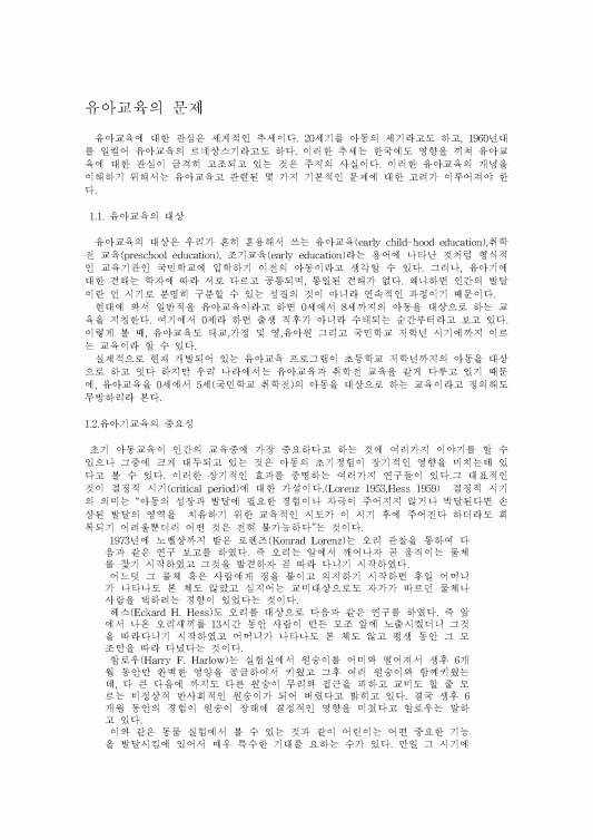 유아교육의 문제