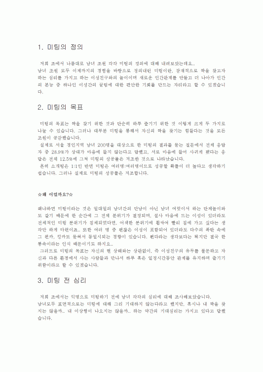 미팅 보고서 레포트 자료