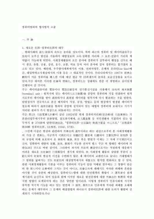 컴퓨터범죄의 형사법적 고찰