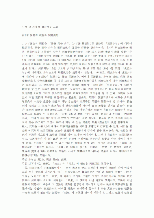 사형 및 자유형 벌금형을 고찰