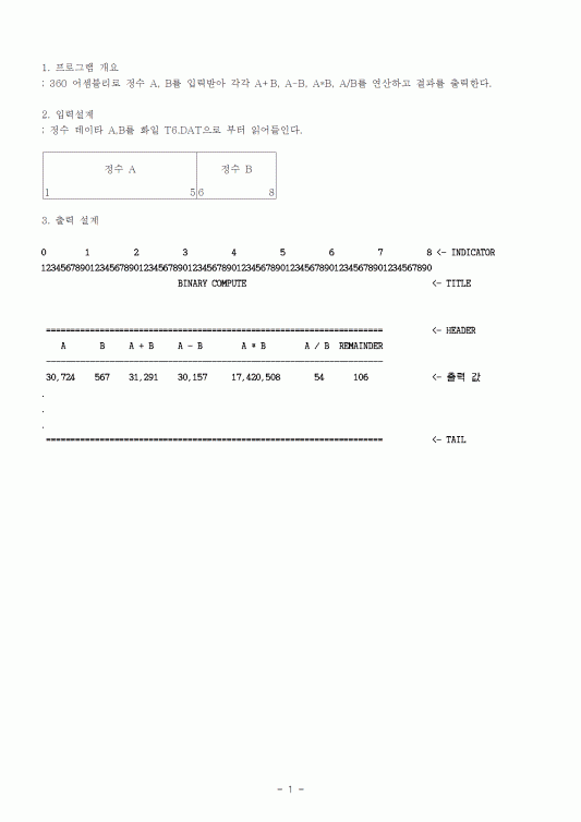 BINARY COMPUTE 레포트 자료
