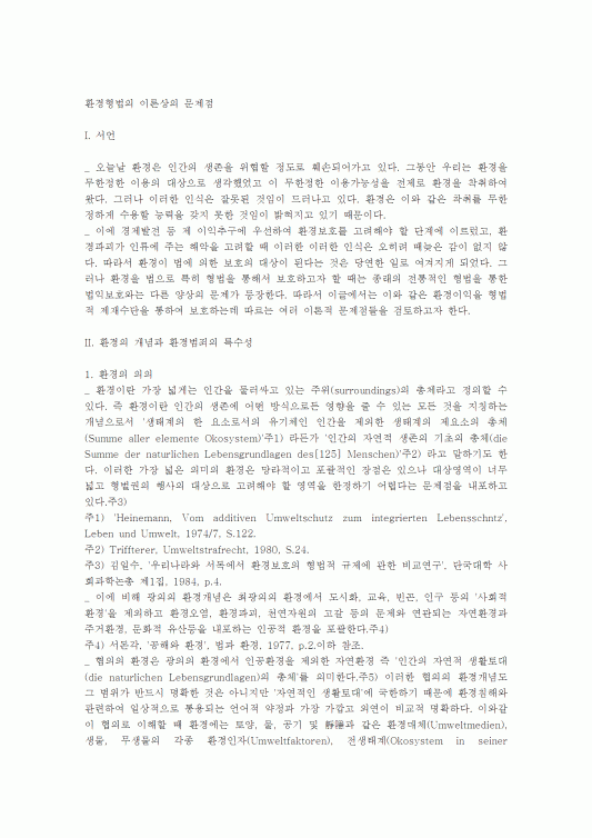 환경형법의 이론상의 문제점