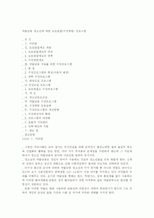 약물남용 청소년에 대한 보호관찰(수강명령) 프로그램