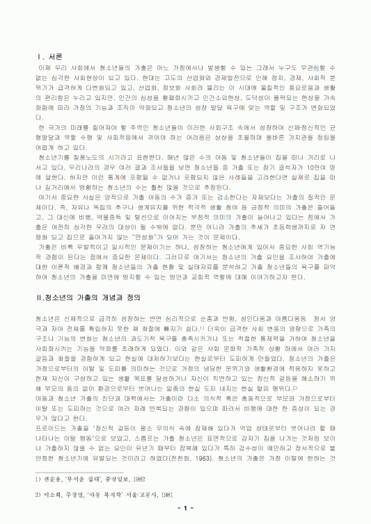 청소년 가출과 대책