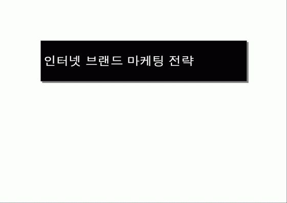 인터넷 브랜드 마케팅 전략 파워포인트 발표자료