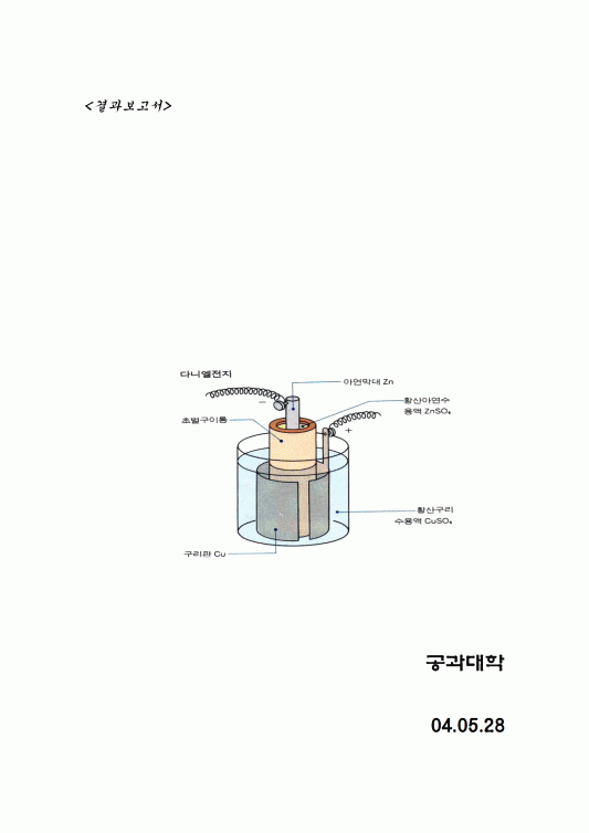 [자연과학] [일반화학실험] 화학전지