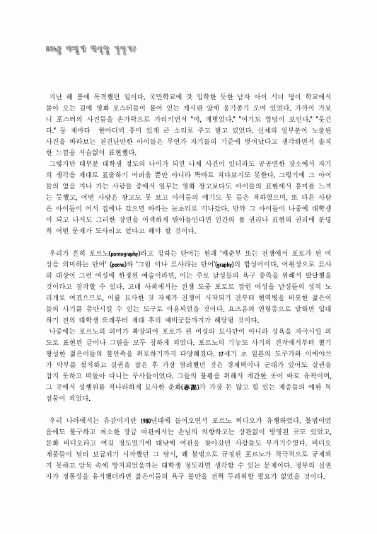 포르노를 어떻게 해석할것인가