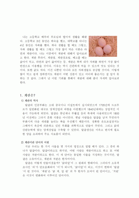 계란에 대해서