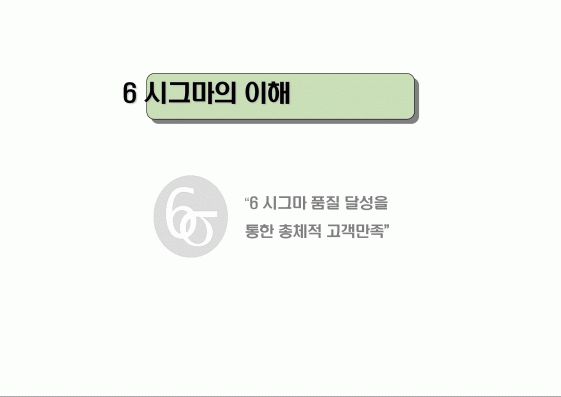 6시그마 발표자료