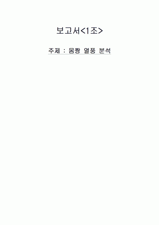 [사회과학] 몸짱 열풍 분석