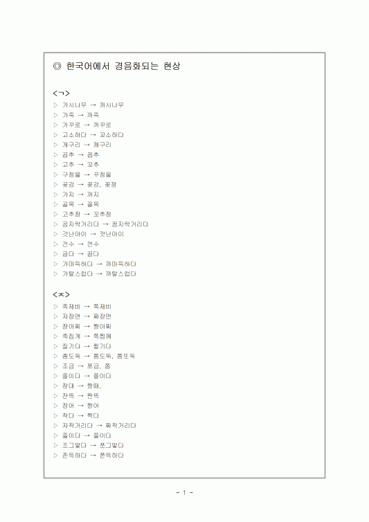 영어와 한국어의 어두에서 일어나는 경음화 현상과 신조어