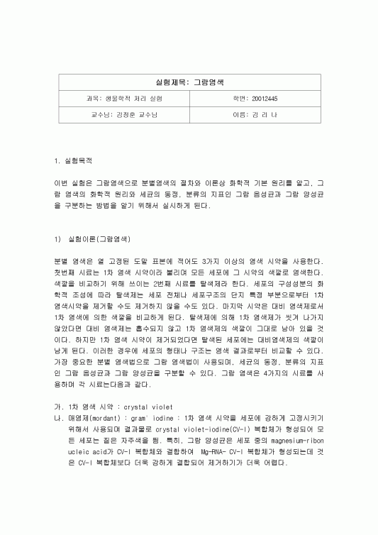 미생물 그람염색 실험