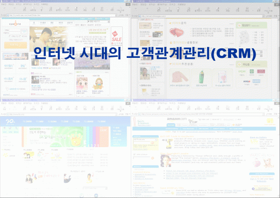 인터넷 시대의 고객관계관리(CRM)