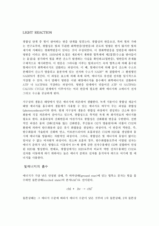 명반응(light reaction)