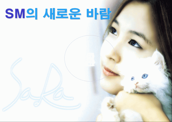 SM의 성공전략