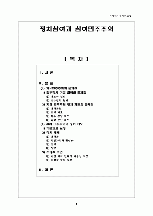 정치참여와 참여민주주의의 흠