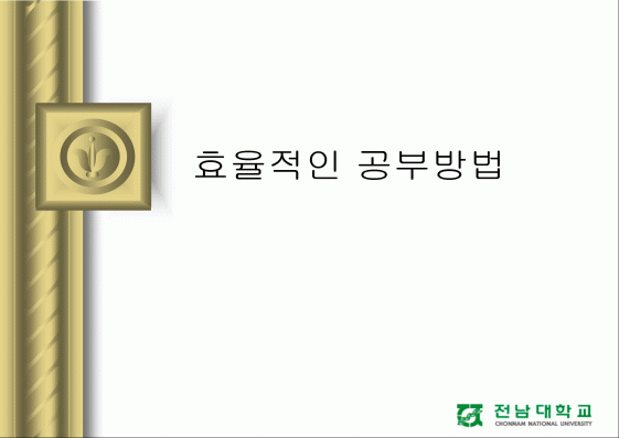 효율적인 공부방법