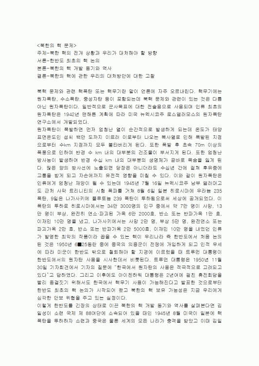 북한의 핵문제와 우리의 방안