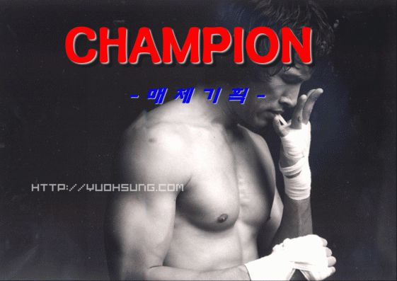영화 챔피온 매체기획서