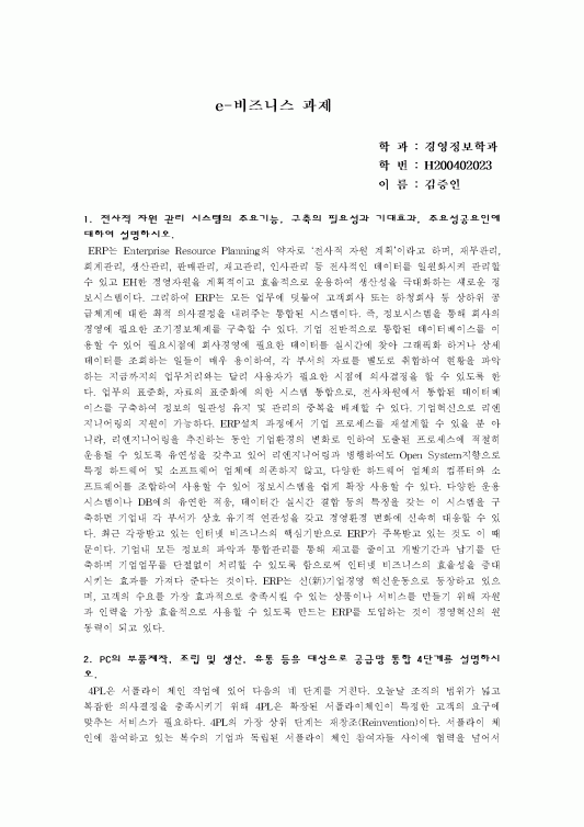 e-비즈니스 레포트 자료