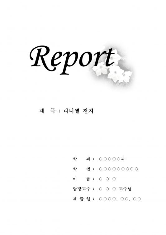 다니엘 전지 레포트 자료