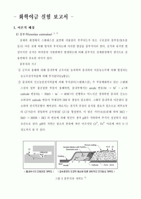 화학야금 실험 보고서 [틈부식(crevice corrosion) 공식(孔蝕, pitting)]