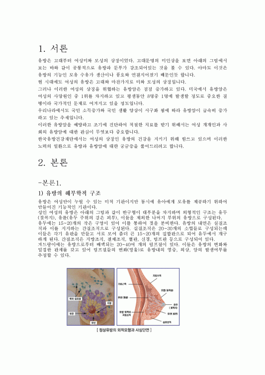 유방암의 정의, 진단, 치료, 예방