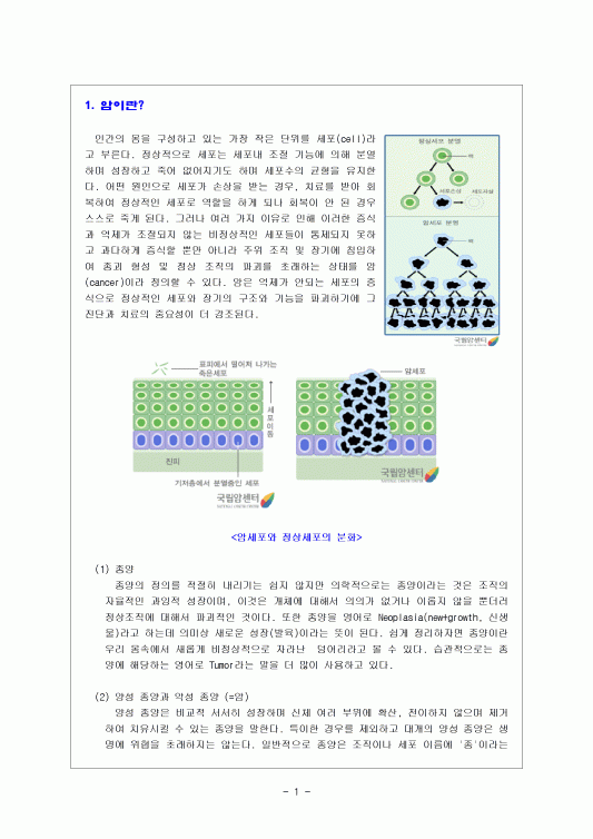 노화와 암 유전자