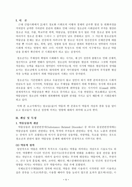 청소년의 약물남용