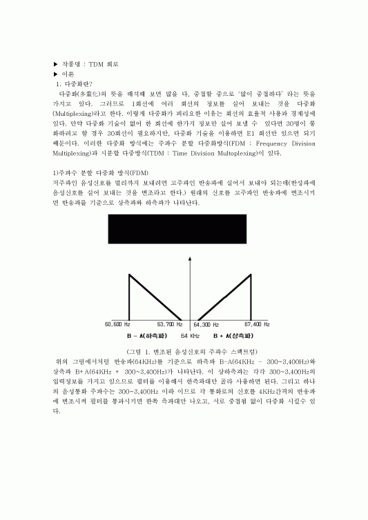 TDM 회로 레포트 자료