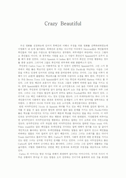 crazy beautiful 영화감상