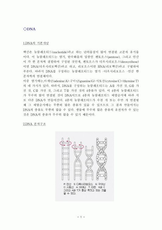 천연고분자 레포트 자료