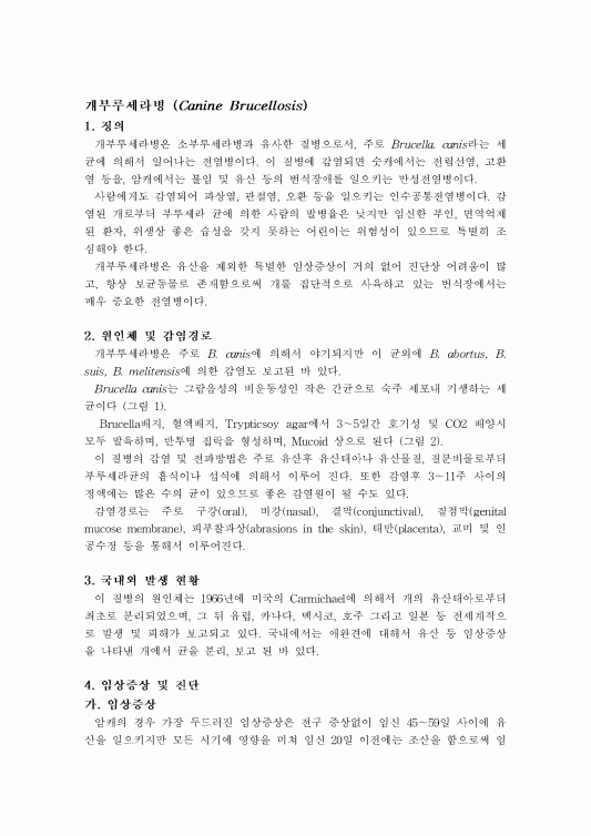 개부루세라병에 대하여