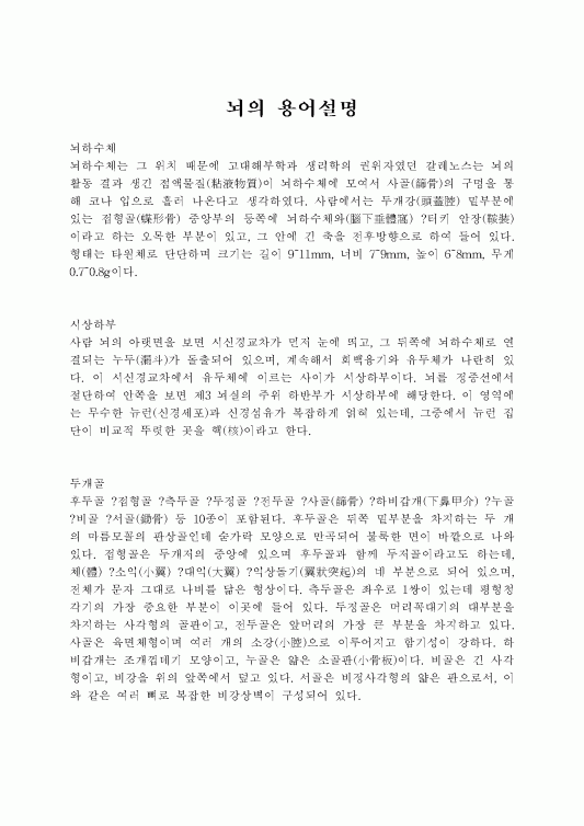 뇌의 용어설명