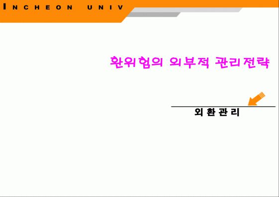 환위험의 외부적 관리전략